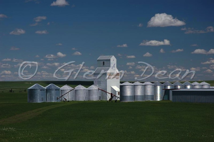 Beynon(relocated toarea farm)June 2006