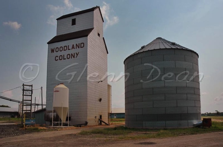 Poplar Point Woodlands ColonyJune 2006