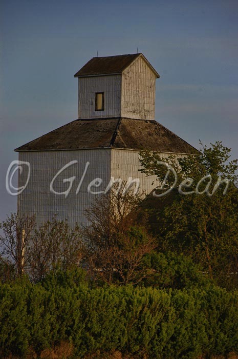 Caron (relocated to area farm)May 2007