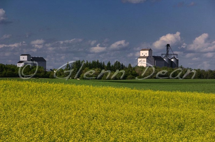 Margo area farm*July 2005