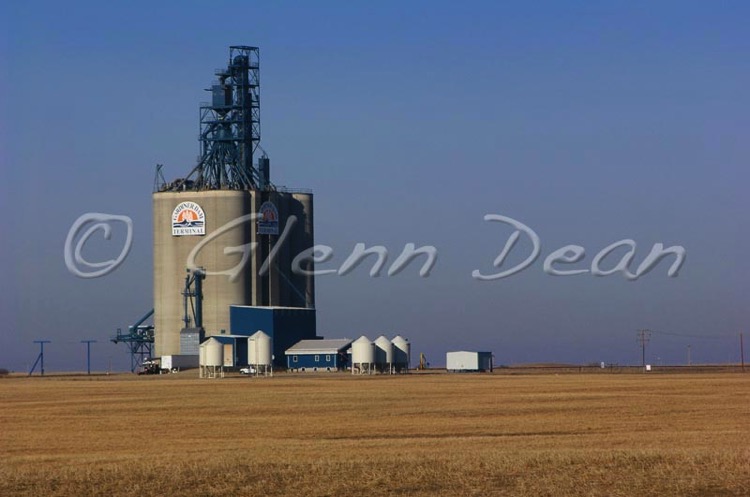 StrongfieldNovember 2004